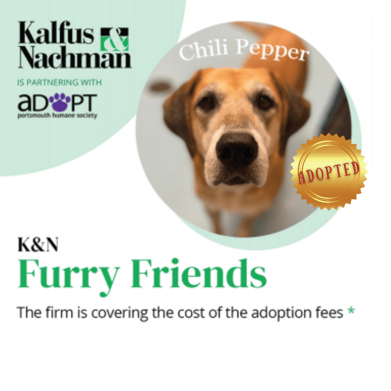 Furry Friends | Kalfus & Nachman PC