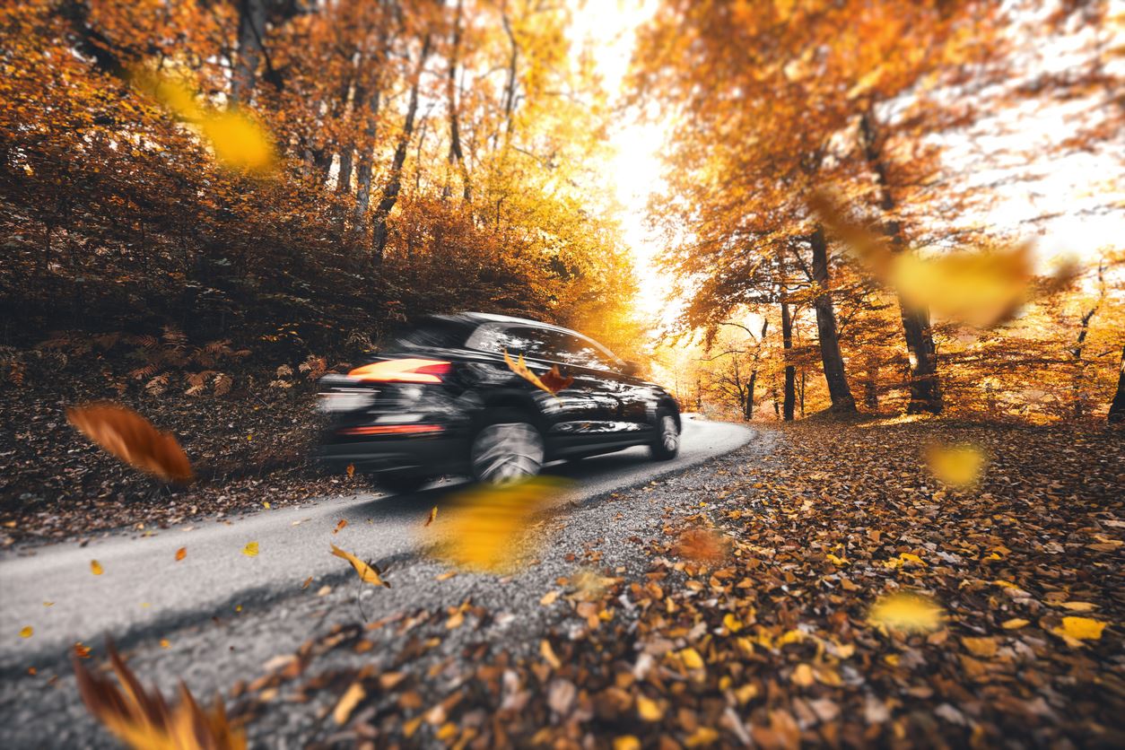 Essential Tips for Driving on Wet Leaves in Roanoke, Virginia