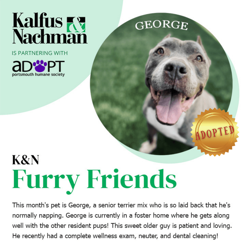 Furry Friends | Kalfus & Nachman PC