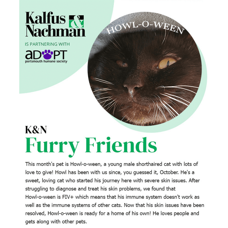 Furry Friends | Kalfus & Nachman PC