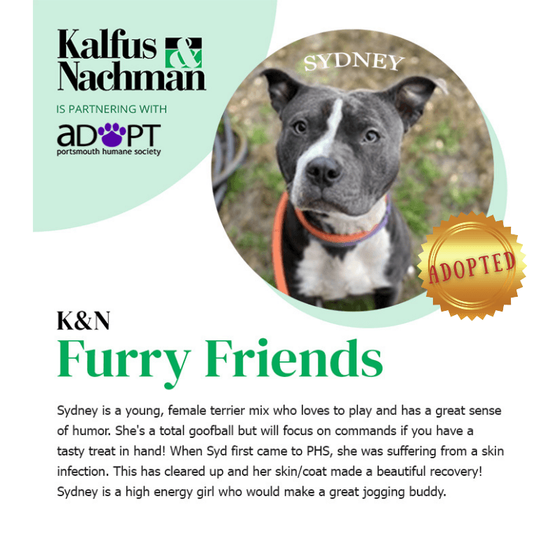 Furry Friends | Kalfus & Nachman PC
