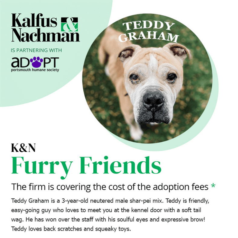 Furry Friends | Kalfus & Nachman PC
