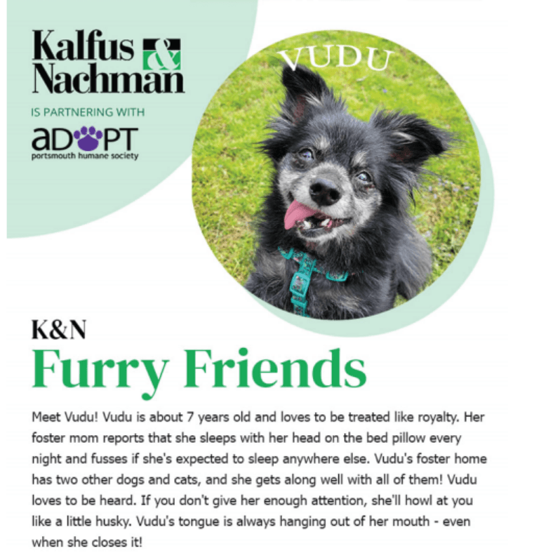 Furry Friends | Kalfus & Nachman PC